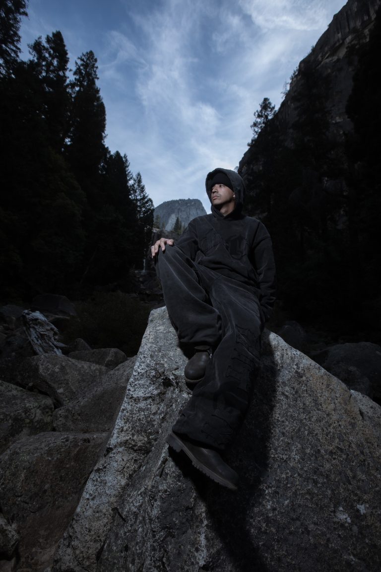 Corvidae and Ditch Link Up for a Transatlantic Collaboration – PAUSE ...
