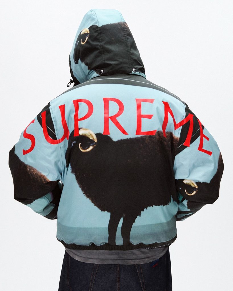 Supreme Spring/Summer 2025 Collection – PAUSE Online | Men's Fashion ...
